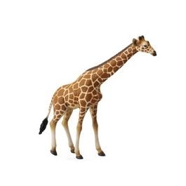 Collecta Reticulate Giraffe | Wombats Toy Shop