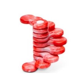 Helix Fidget Toy | Wombats Toy Shop