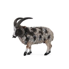 Collecta Jacob Sheep | Wombats Toy Shop
